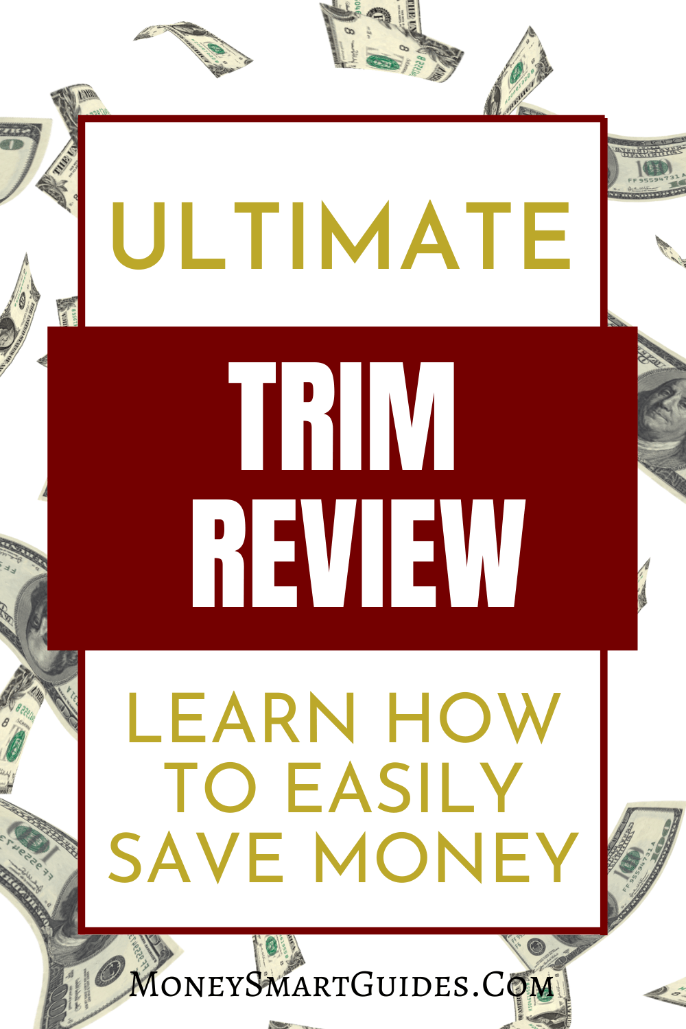 Trim Review 2021 | Learn How To Easily Cut Your Spending - Money Smart ...