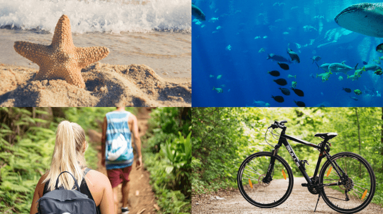 77 Clever Cheap Date Ideas - Money Smart Guides