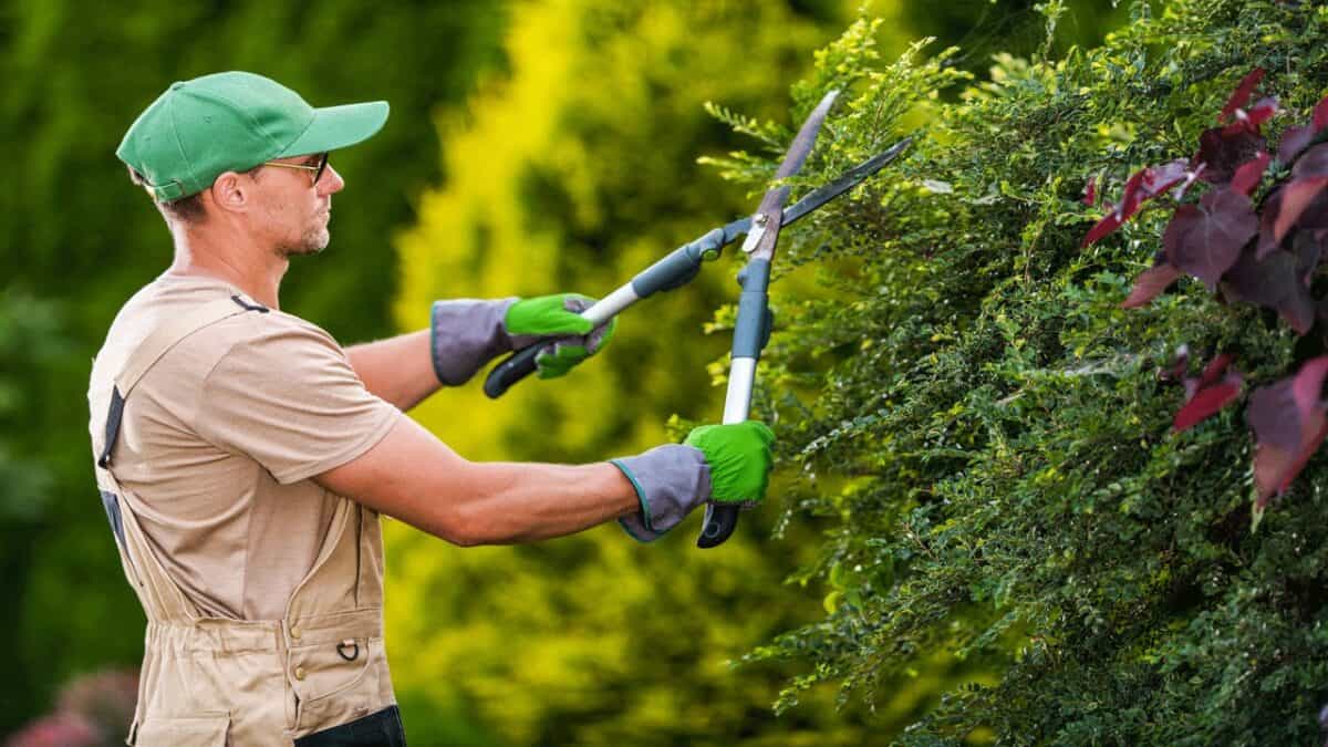 23 Simple Ways to Upgrade Your Home on a Budget - Money Smart Guides