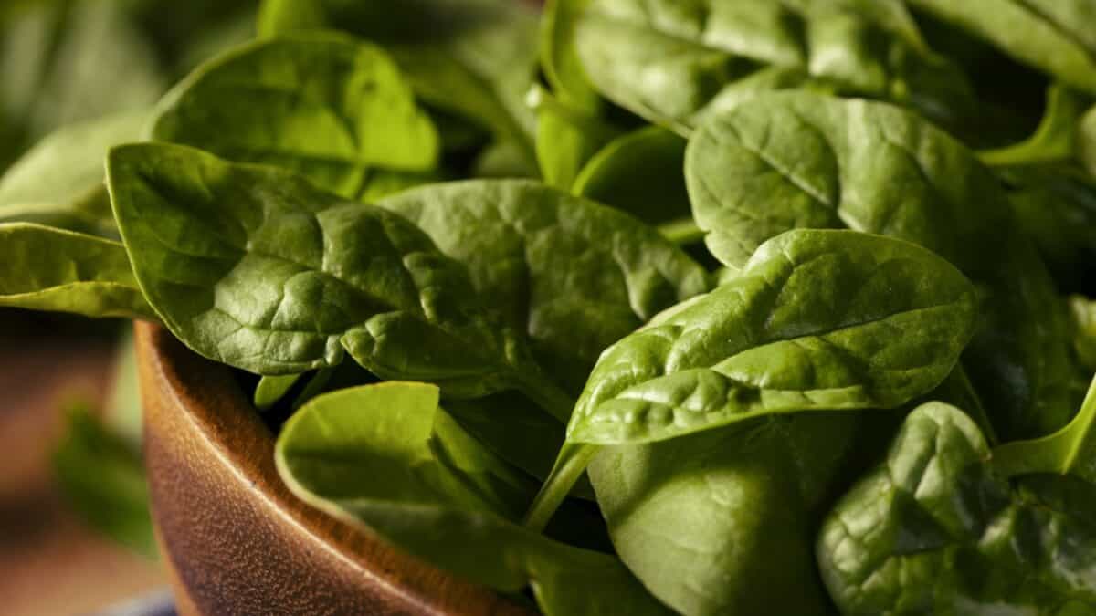 25 Cheapest Foods to Buy When Broke - Money Smart Guides